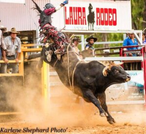 Get Ready for the 2025 Laura Rodeo—Horses, Bulls, and Community Spirit ...